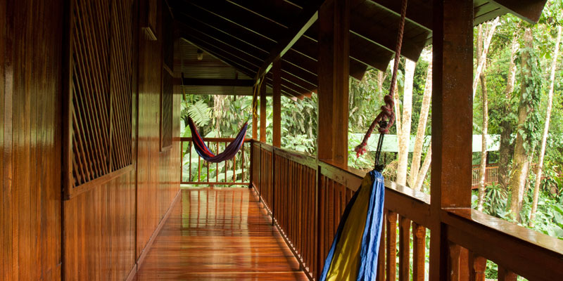 Costa Rica | Road Scholar Trip Extension to the Sarapiquí Rainforest