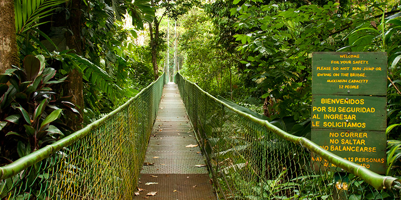Costa Rica | Eco-Tourism Program: Selva Verde, Monteverde, and Lomas ...