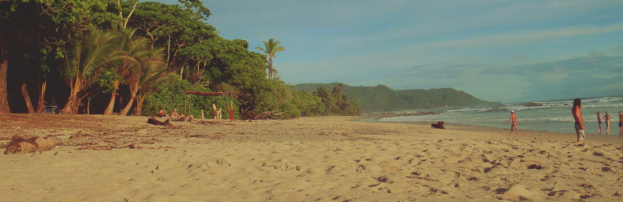 Costa Rica | Field Studies with William Peace University