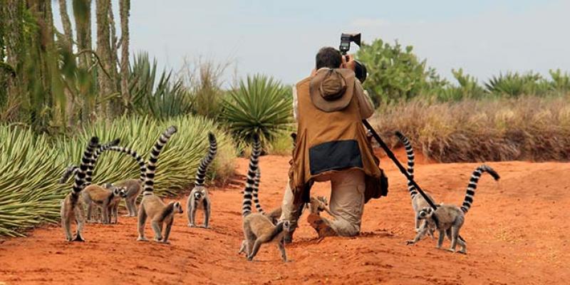 Madagascar | An Odd Corner of the World