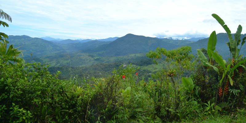Costa Rica Adventure with Pressel Field Explorers