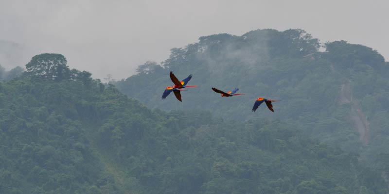 Costa Rica Adventure with Pressel Field Explorers