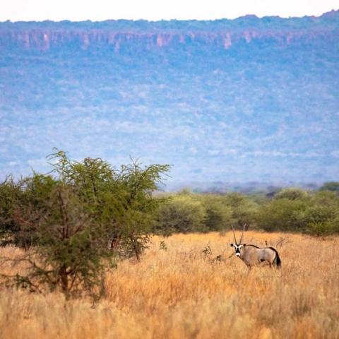 Join a trip | Holbrook Travel