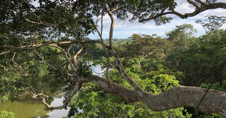 Peru Photography Expedition: Lima, the Sacred Valley, and Amazon Rainforest